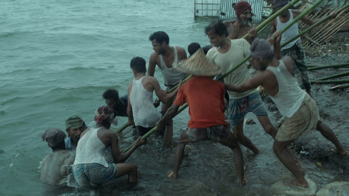 The Golden Wings of Watercocks (Muhammad Quayum) Bangladesh.
