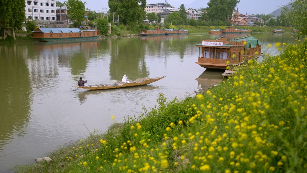 My Father,s Doctor (Danish Renzu) India